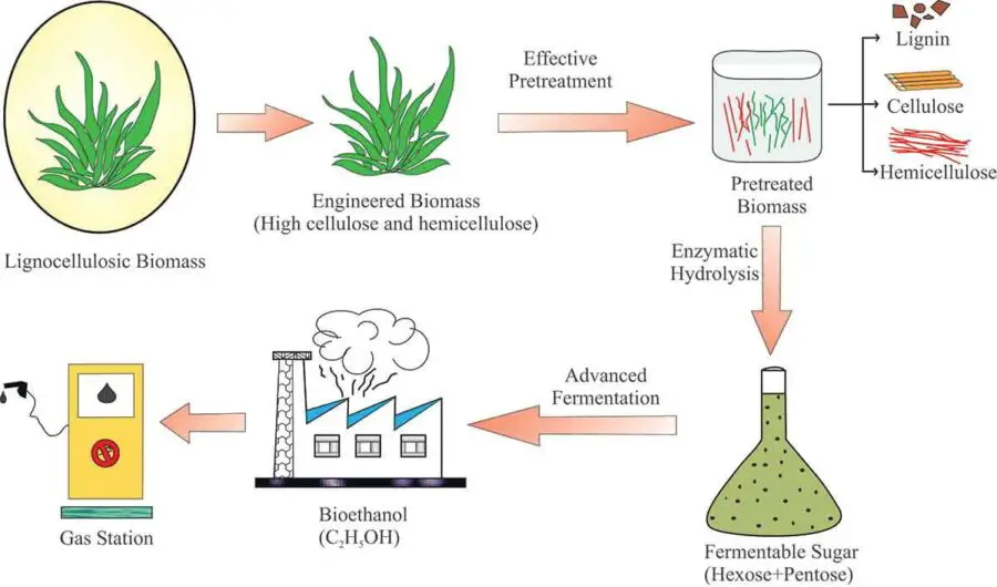 1G, 2G, 3G Bioethanol: What Are Different Bioethanol Generation ...