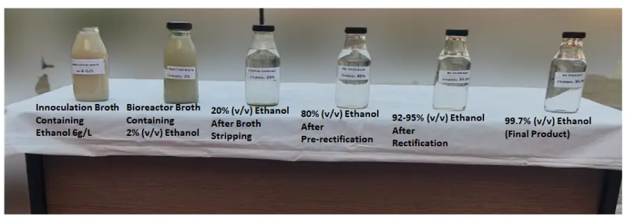 1G, 2G, 3G Bioethanol: What Are Different Bioethanol Generation ...